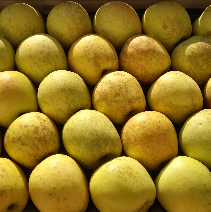 Caruzzo - Fornitura di mele per supermercati e negozi